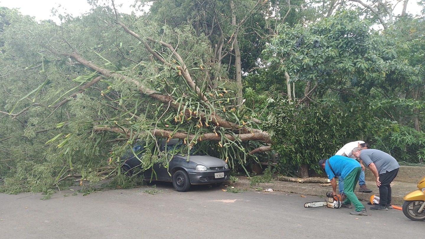 Árvore caí sobre veículo no Jardim Cruzado em Ibaté - São Carlos Agora