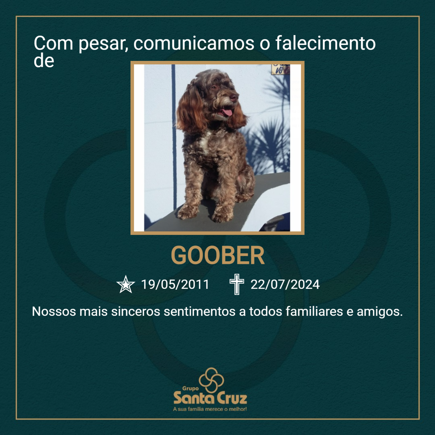 Homenagem do Grupo Santa Cruz ao pet Goober - São Carlos Agora