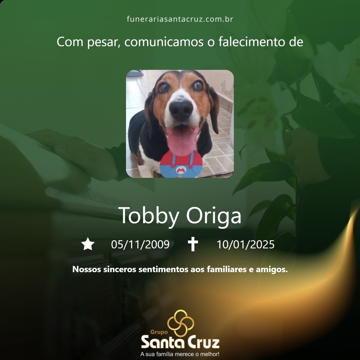 Homenagem do Grupo Santa Cruz ao pet Tobby Origa - São Carlos Agora
