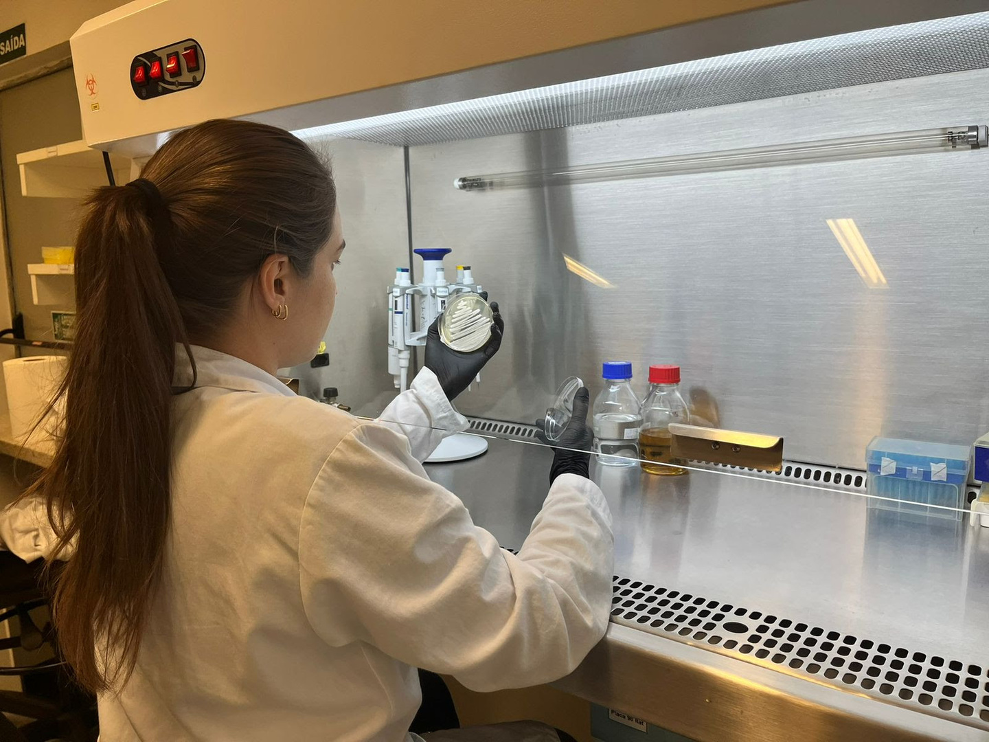 UFSCar descobre nova levedura resistente a altas temperaturas e avança ...