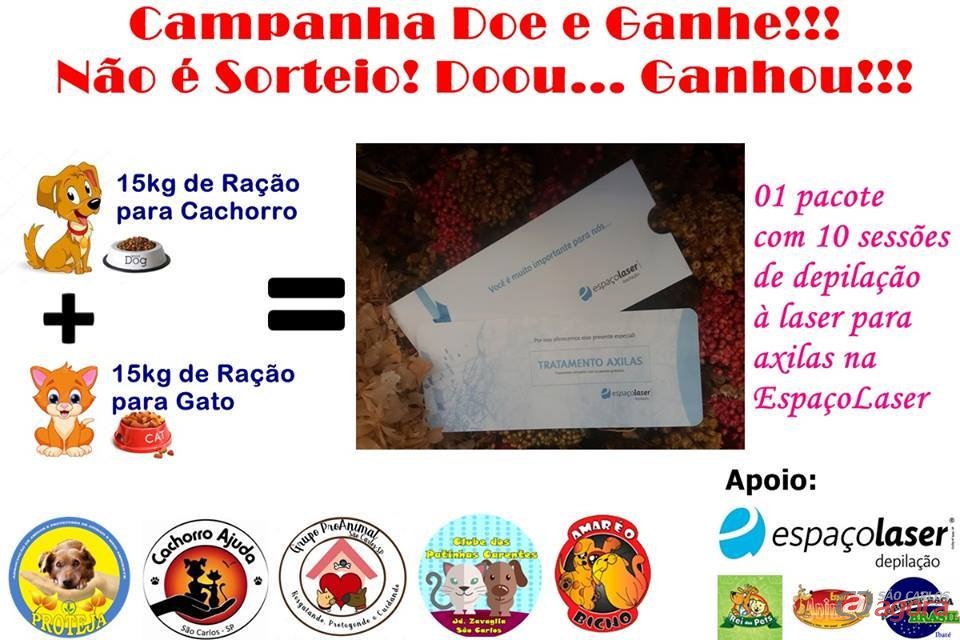 Campanha De Arrecadação De Ração Para Entidades Que Cuidam De Animais
